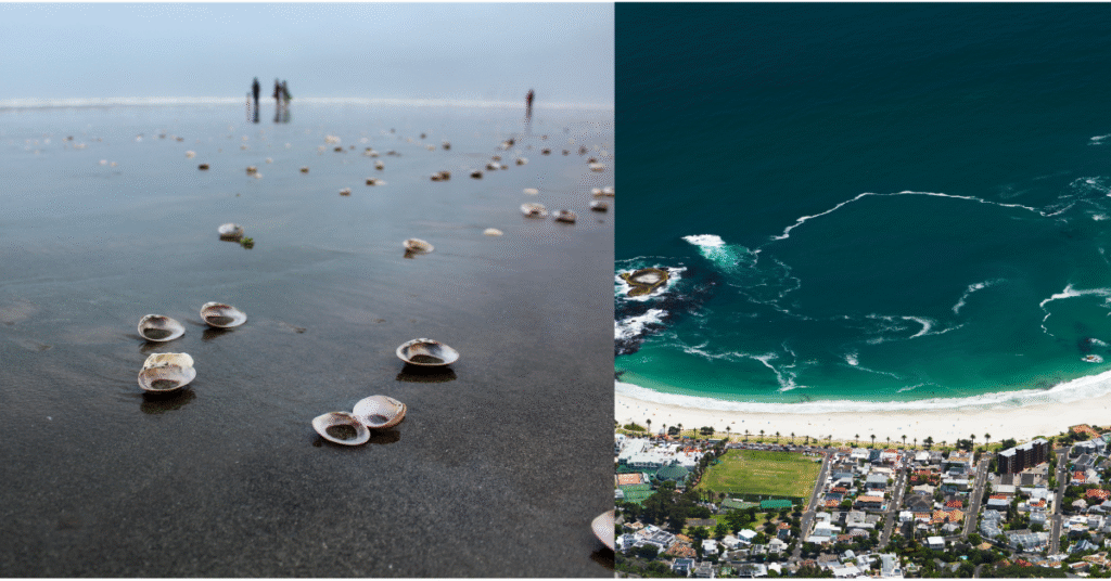 Pakistan Sea Ports Overview | Key Ports & Trade Hubs